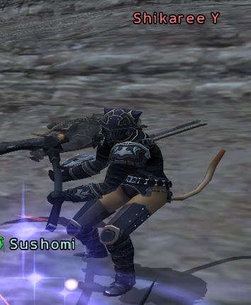 Shikaree Y - HorizonXI Wiki