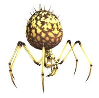 Category:Spiders - HorizonXI Wiki